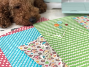 Miss Kate Cuttables Scrapbook Paper - Dog Gone Cute - Paper Pack