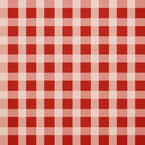 Miss Kate Cuttables Scrapbook Paper - Buffalo Check - Paper Pack