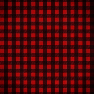 Miss Kate Cuttables Red & Black Buffalo Check Digital Scrapbook Paper ...